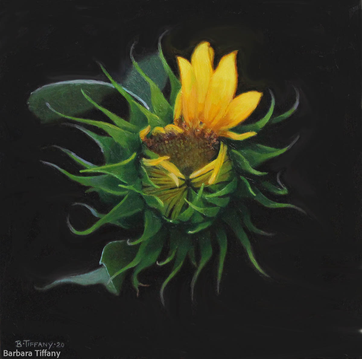 Barbara Tiffany Area 5 - The Florida Artists Group Inc.